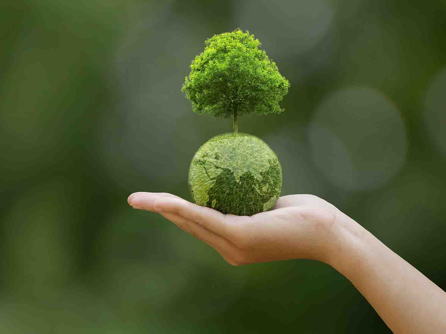 ACT launches tool to drive climate commitments