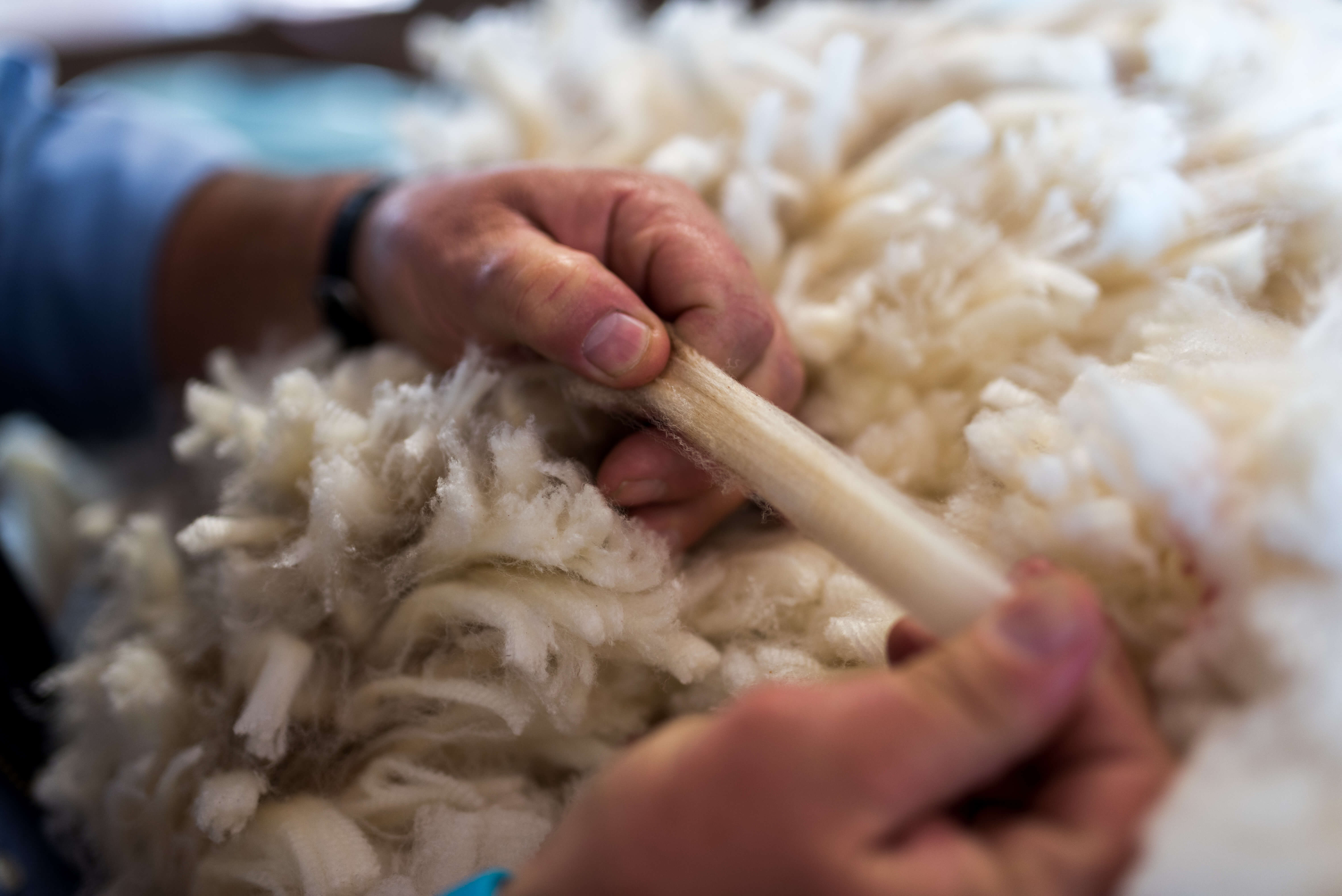 A good week for Australian wool