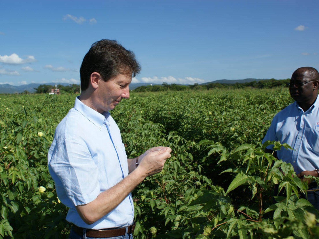 A ClearView of the future