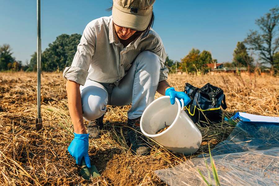Advancements in regenerative agriculture