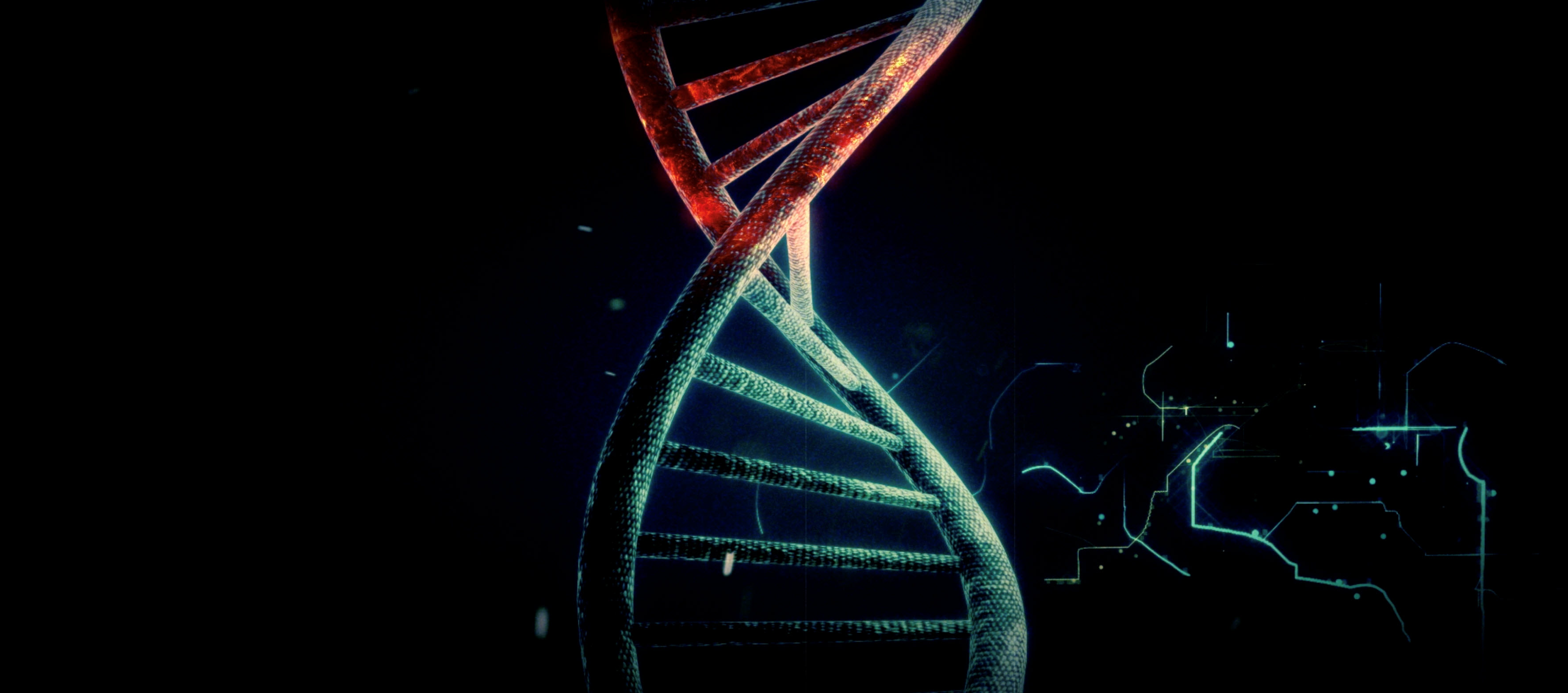 Real spider silk produced without spiders