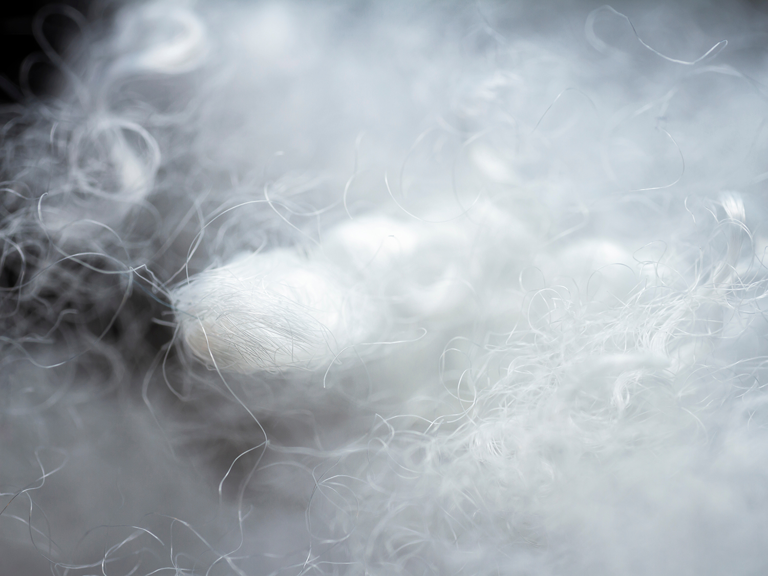 ReSuit delivers polyester recycling solutions