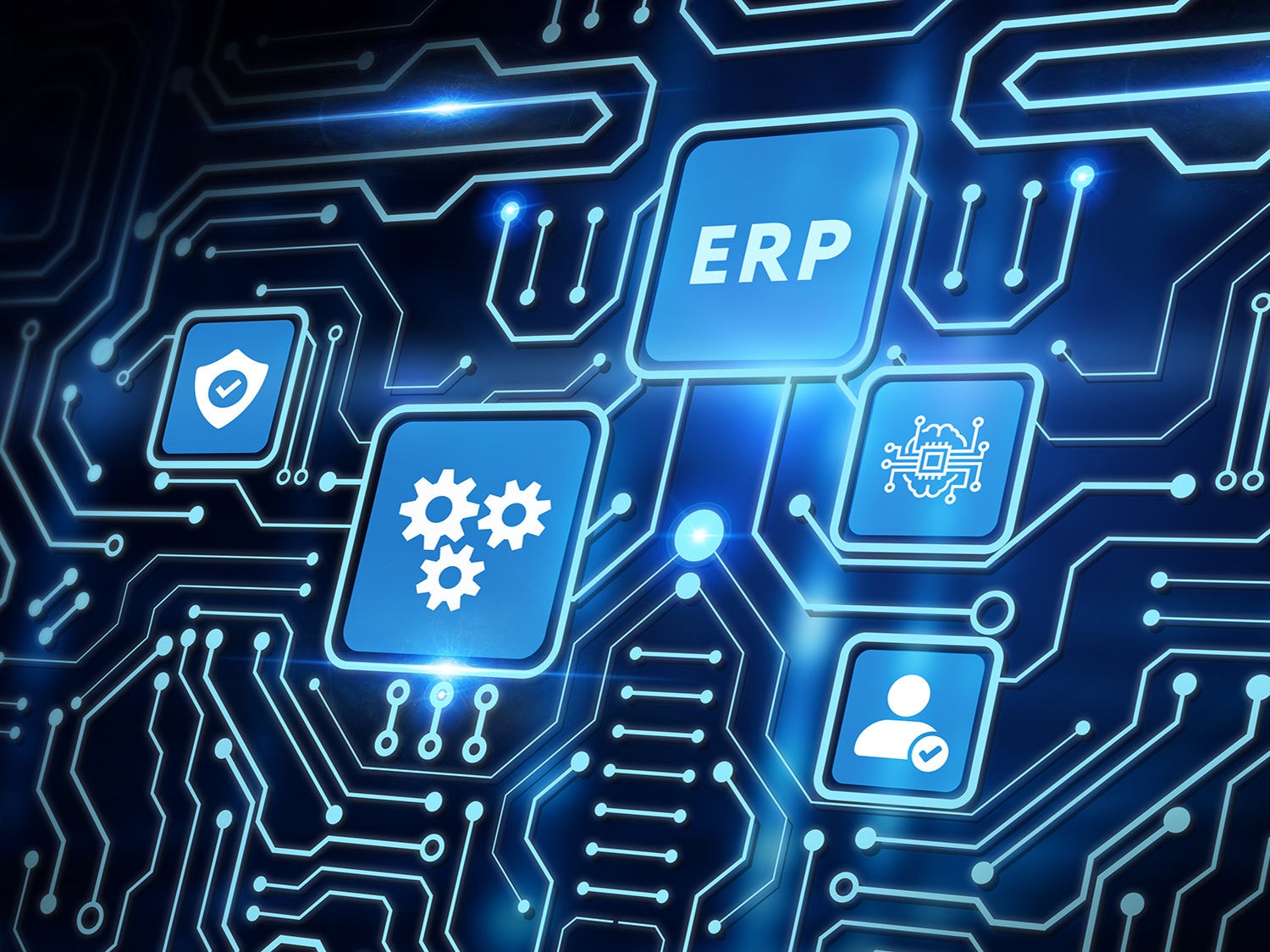 ERP software for evolving business models