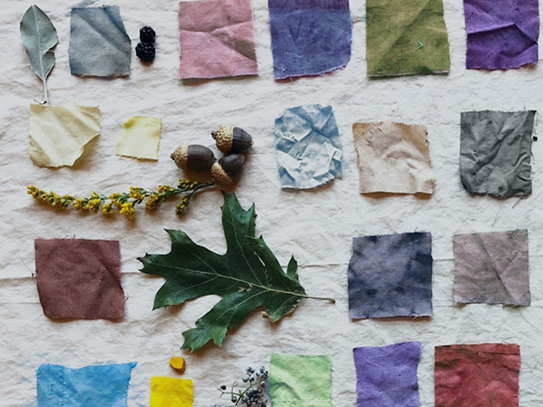 Plant-based application innovations for textile finishing